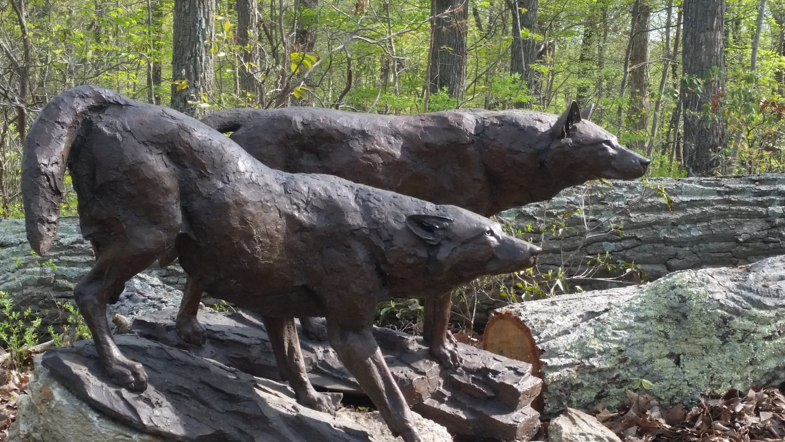 Art & Architecture: Bronze Sculptures by Walter Matia | Curlew Castings