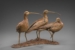 Bronze bird sculptures by Walter Matia | Curlew Castings