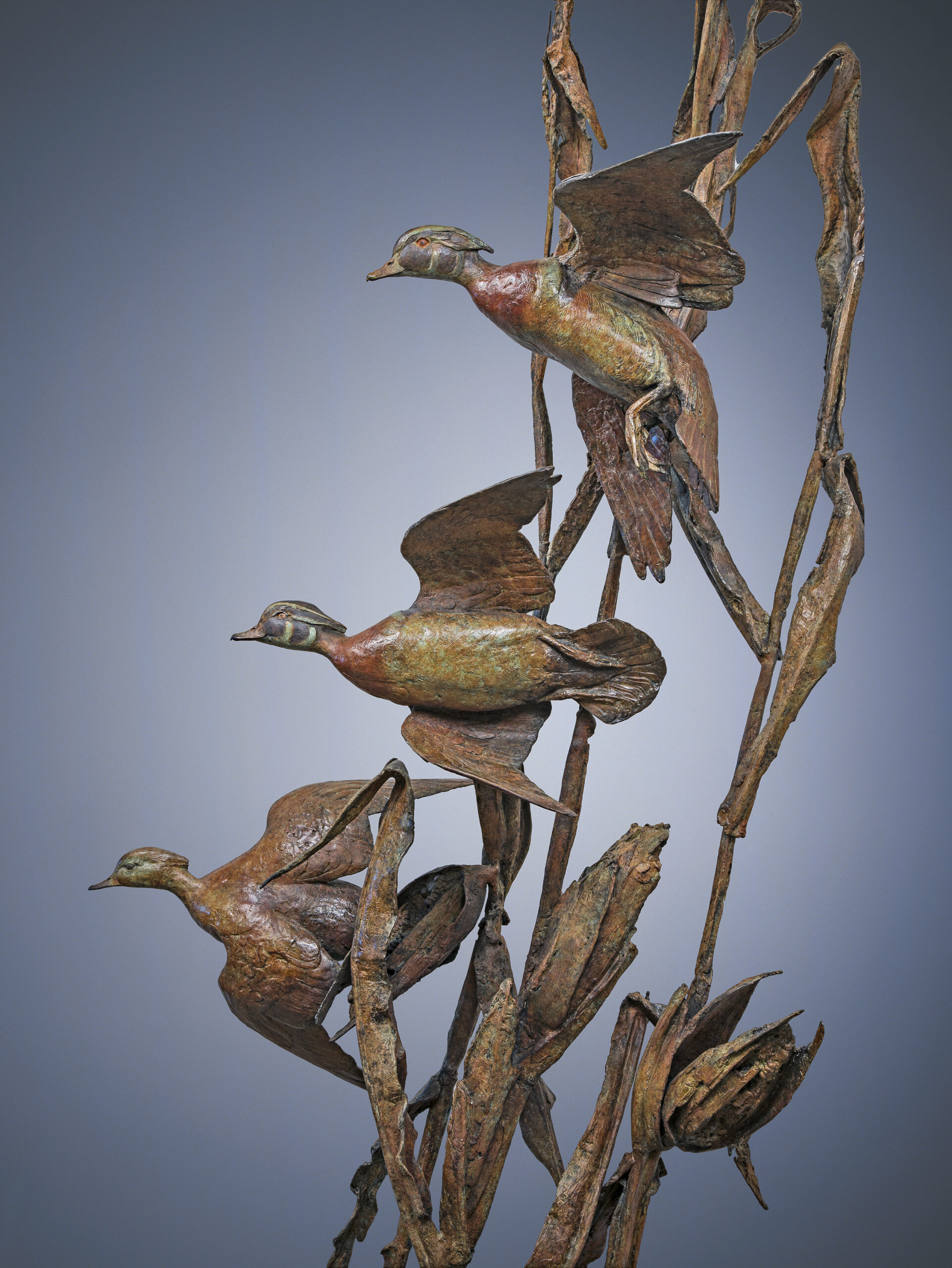 Bronze bird sculptures by Walter Matia | Curlew Castings