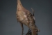 Bronze bird sculptures by Walter Matia | Curlew Castings