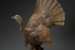 Bronze bird sculptures by Walter Matia | Curlew Castings