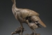 Bronze bird sculptures by Walter Matia | Curlew Castings